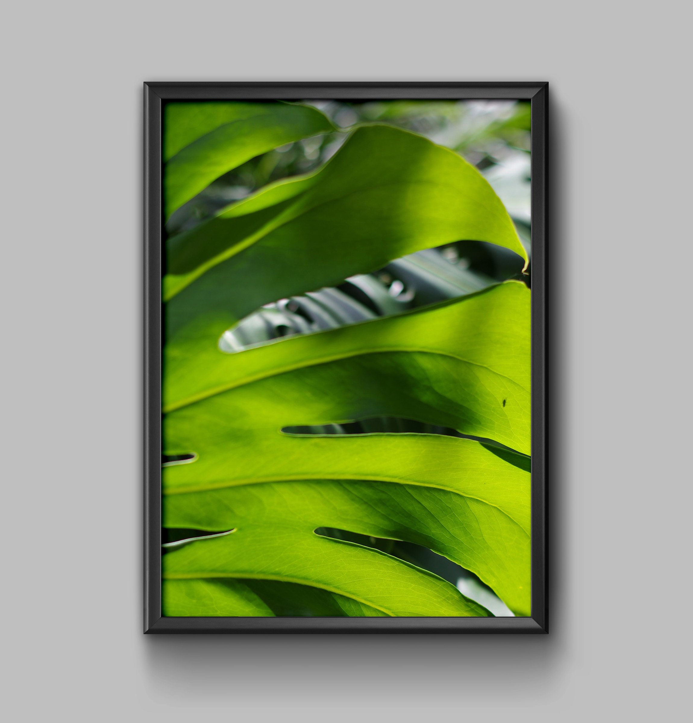 Monstera Print Monstera Printable Monstera Art Print - Etsy Ireland