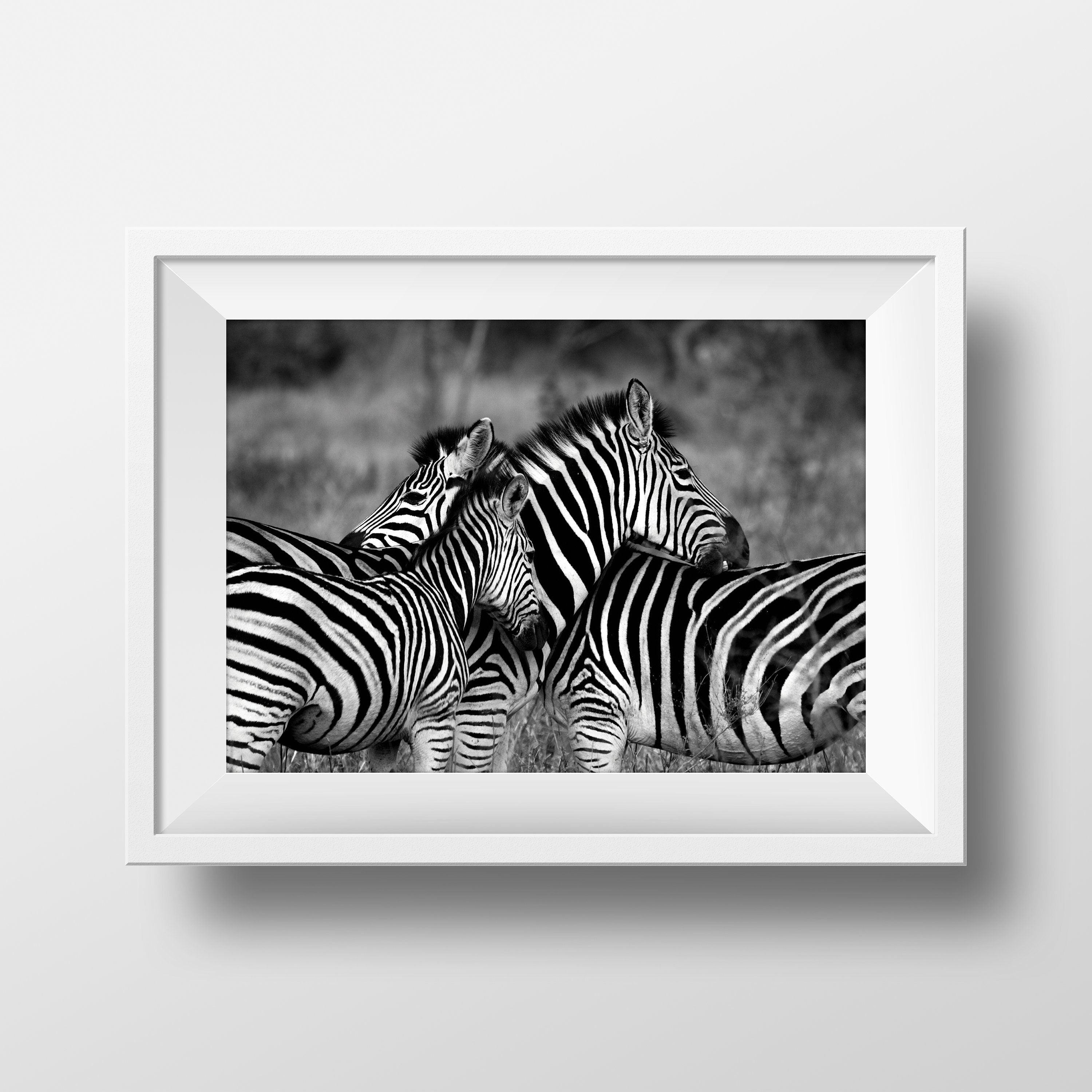 Zebra Print, Zebra Art, Zebra Wallpaper, Zebra Printable, Zebra Wall ...