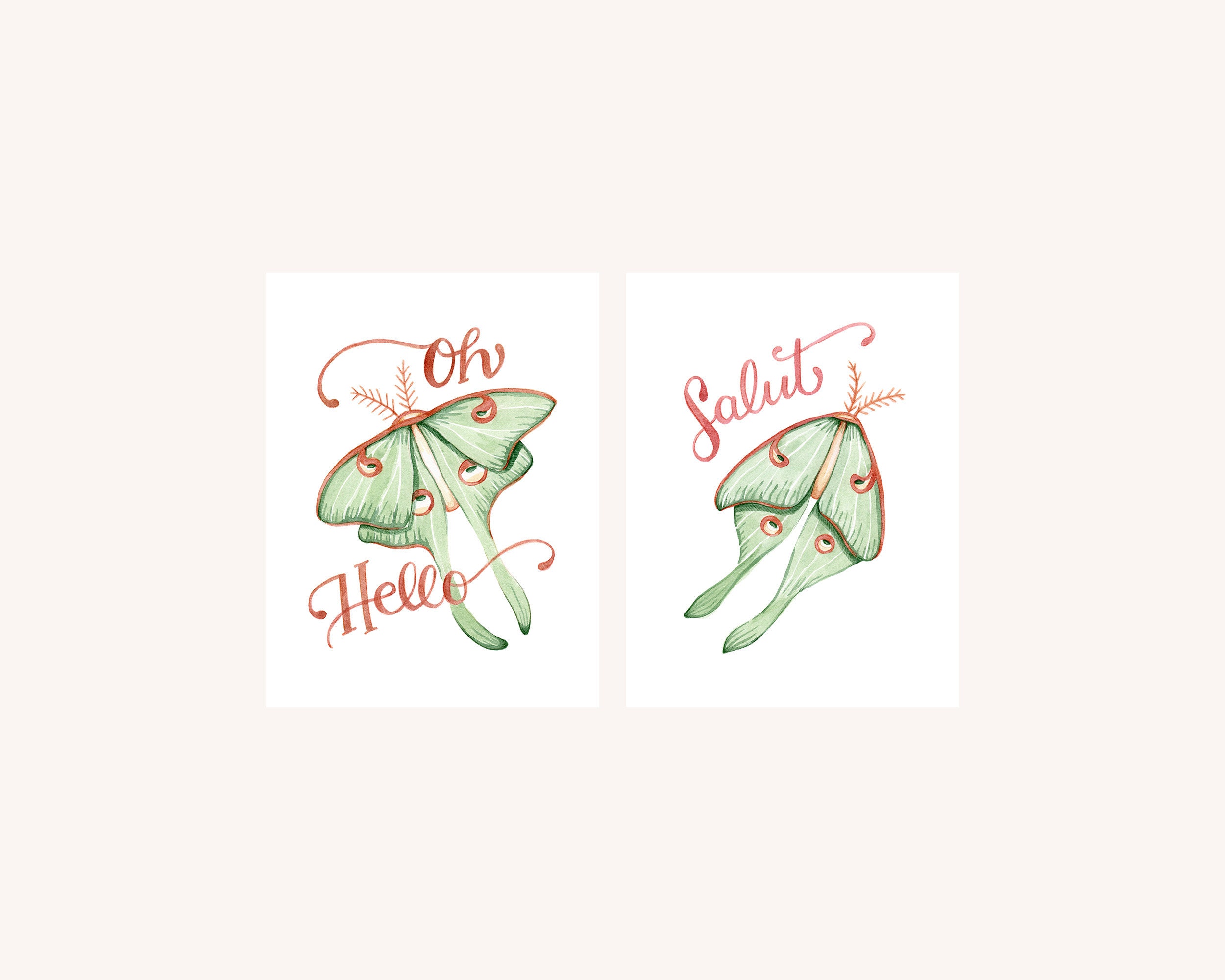 Hello Luna Card | Luna Moth Notecard | Luna Moth Card | Friendship ...