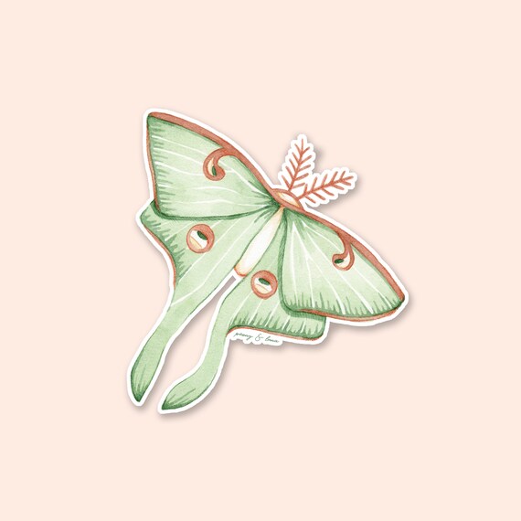 Luna Moth Sticker Waterproof Vinyl Decal Luna Moth Art - Etsy