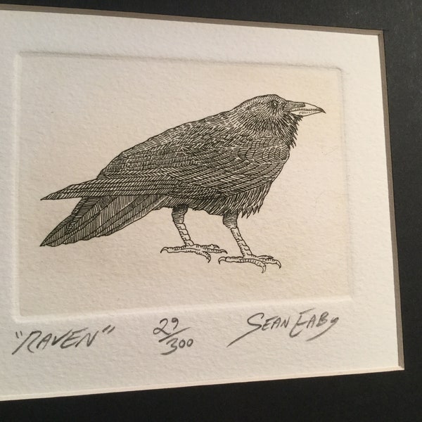 Raven Etching - Etsy