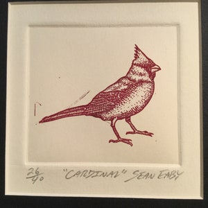 Cardinal Etching by Sean Eaby - Etsy