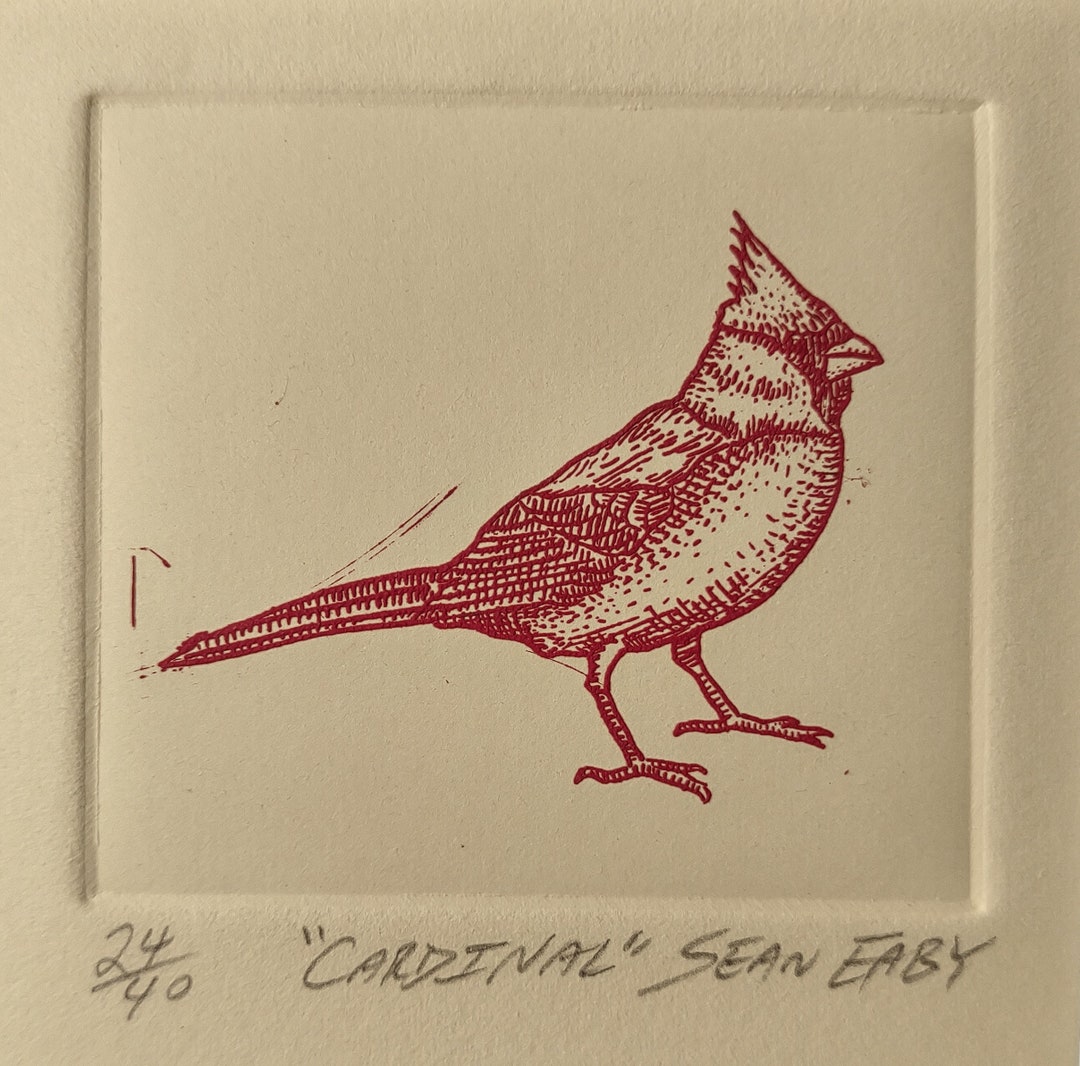 Cardinal Etching by Sean Eaby - Etsy