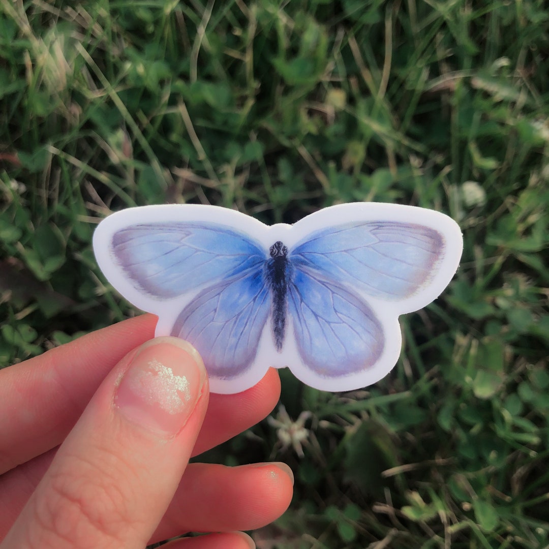 Blue Butterfly Sticker - Artwork Stickers -butterfly Stickers - Laptop ...