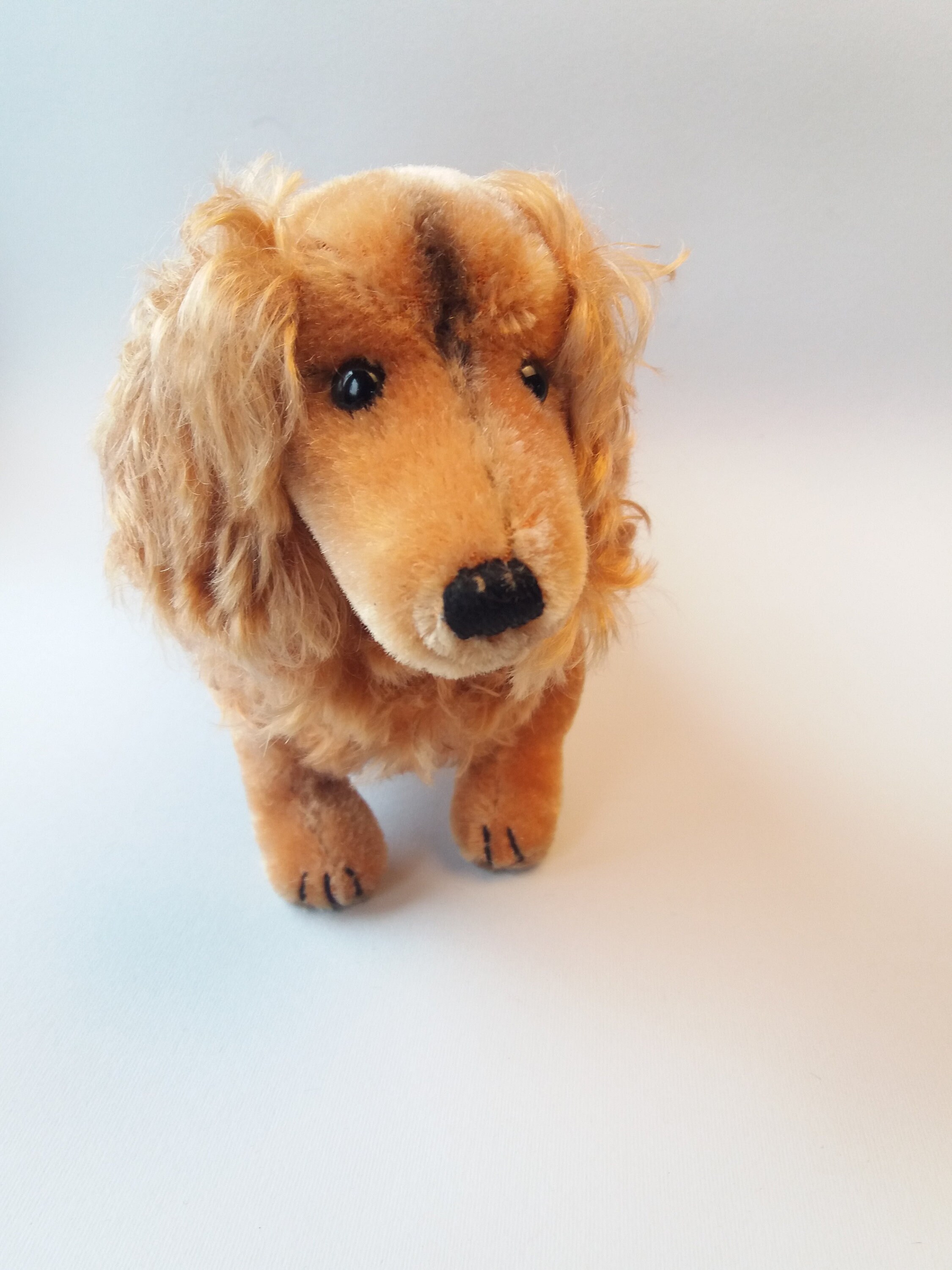 Steiff Waldi Dachshund Dog Standing Mohair Plush 13in | Etsy UK