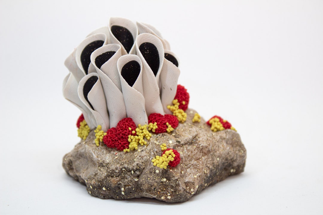 White & Black Coral Reef Scape W Red Gold Accents on Found - Etsy