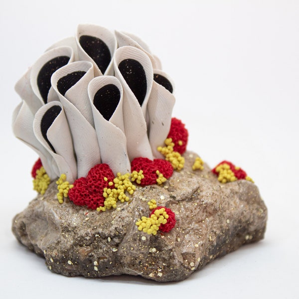 Red Reef Clay - Etsy