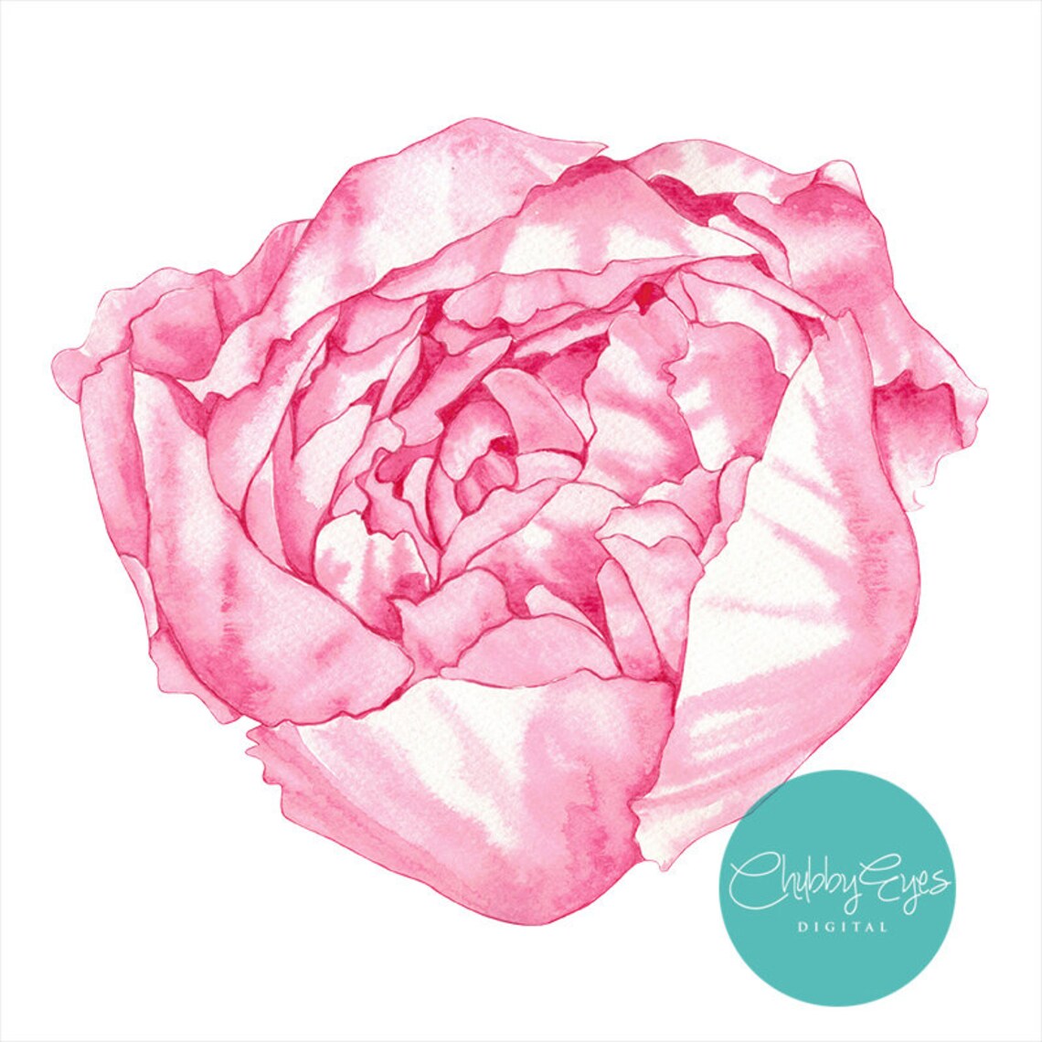 Watercolor Pink Peonies Clip Art Hand Painted Flowers | Etsy