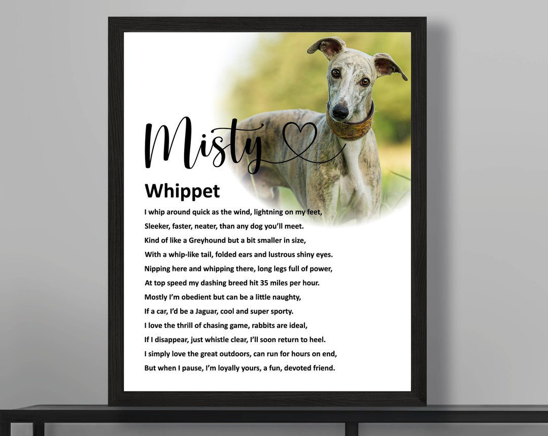Whippet Digital Poem Print Photograph Photo, Whippet Funny Cute Dog ...