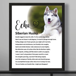 Doberman Pinscher Digital Poem Print Photograph Photo, Doberman Funny ...