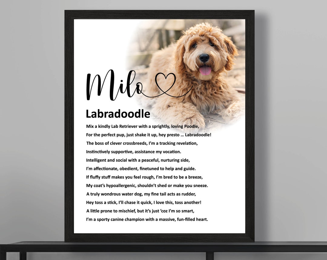 Labradoodle Poem Digital Print Photograph, Funny Print From for Dog ...