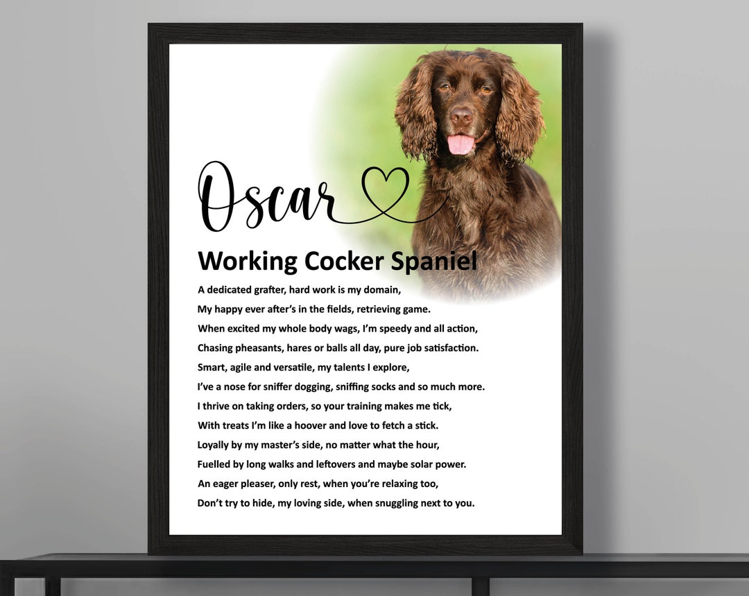 Working Cocker Spaniel Digital Poem Print Photograph Photo, Funny Cute ...