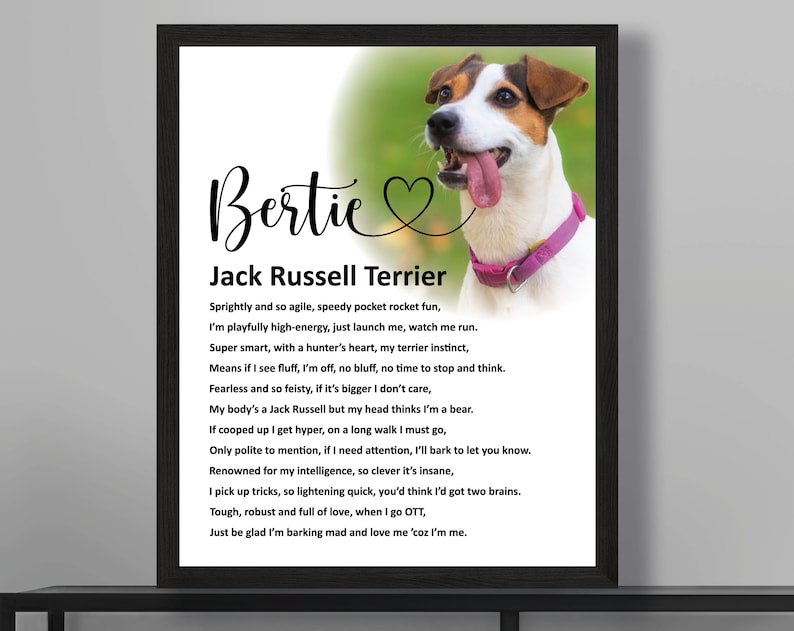 Miniature Schnauzer Digital Poem Print Photograph Photo, Schnauzer ...