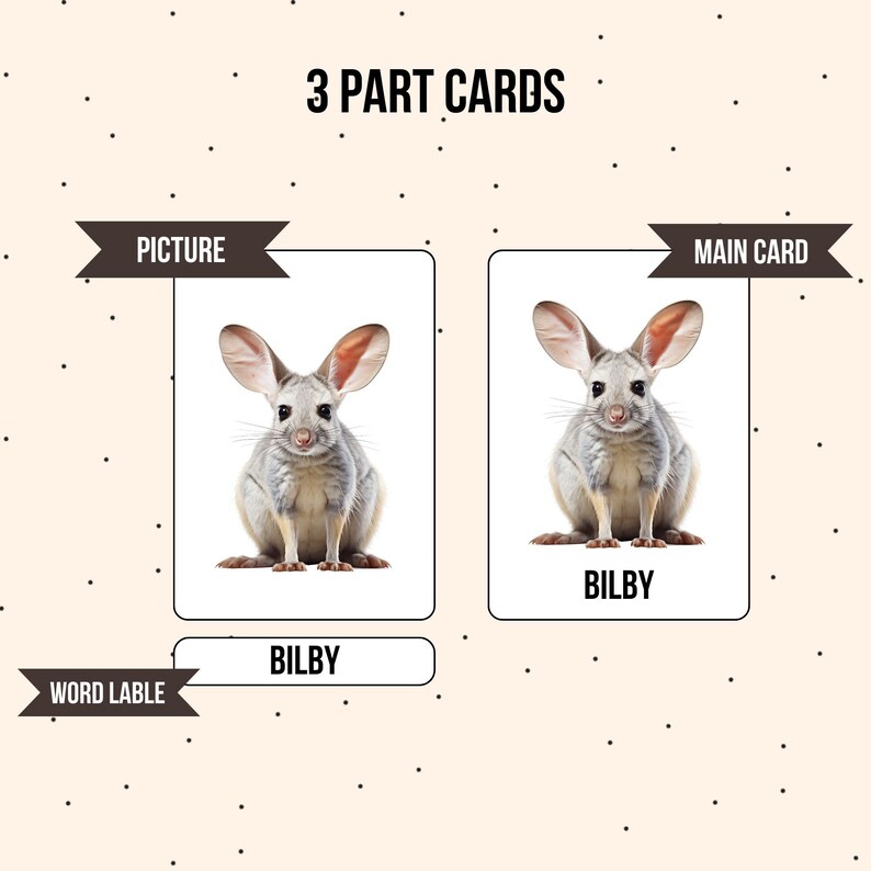 Australian Animal Printable Flashcards Preschool Language Learning ...