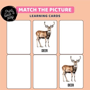Forest Animal Printable Flashcards Preschool Language Learning Cards ...