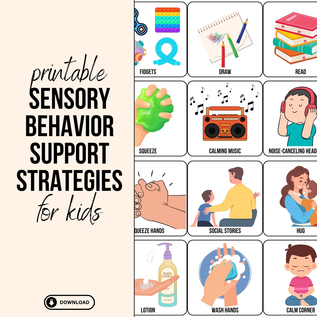 Sensory Behavior Support Strategies Flashcards, Special Needs ...