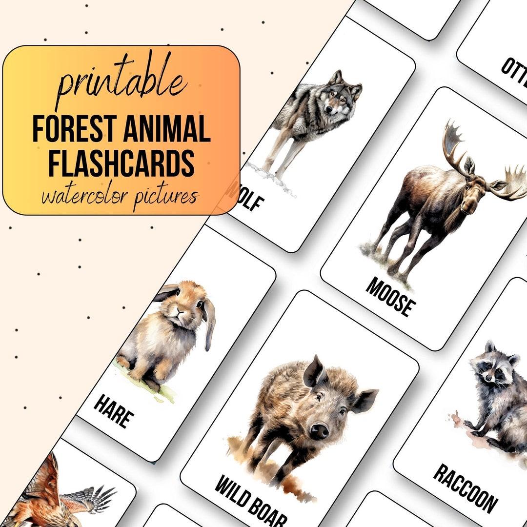 Forest Animal Printable Flashcards Preschool Language Learning Cards ...