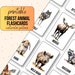 Forest Animal Printable Flashcards Preschool Language Learning Cards ...