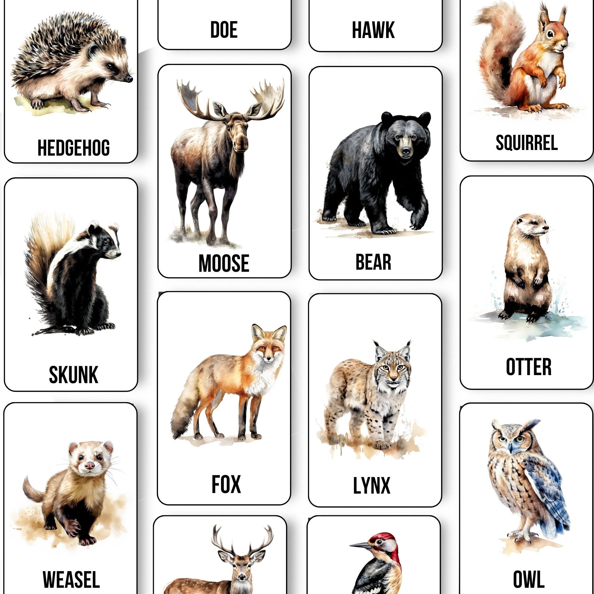 Forest Animal Printable Flashcards Preschool Language Learning Cards ...