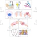 Brush Your Teeth Communication Visual, Dental Health, Life Skills for ...