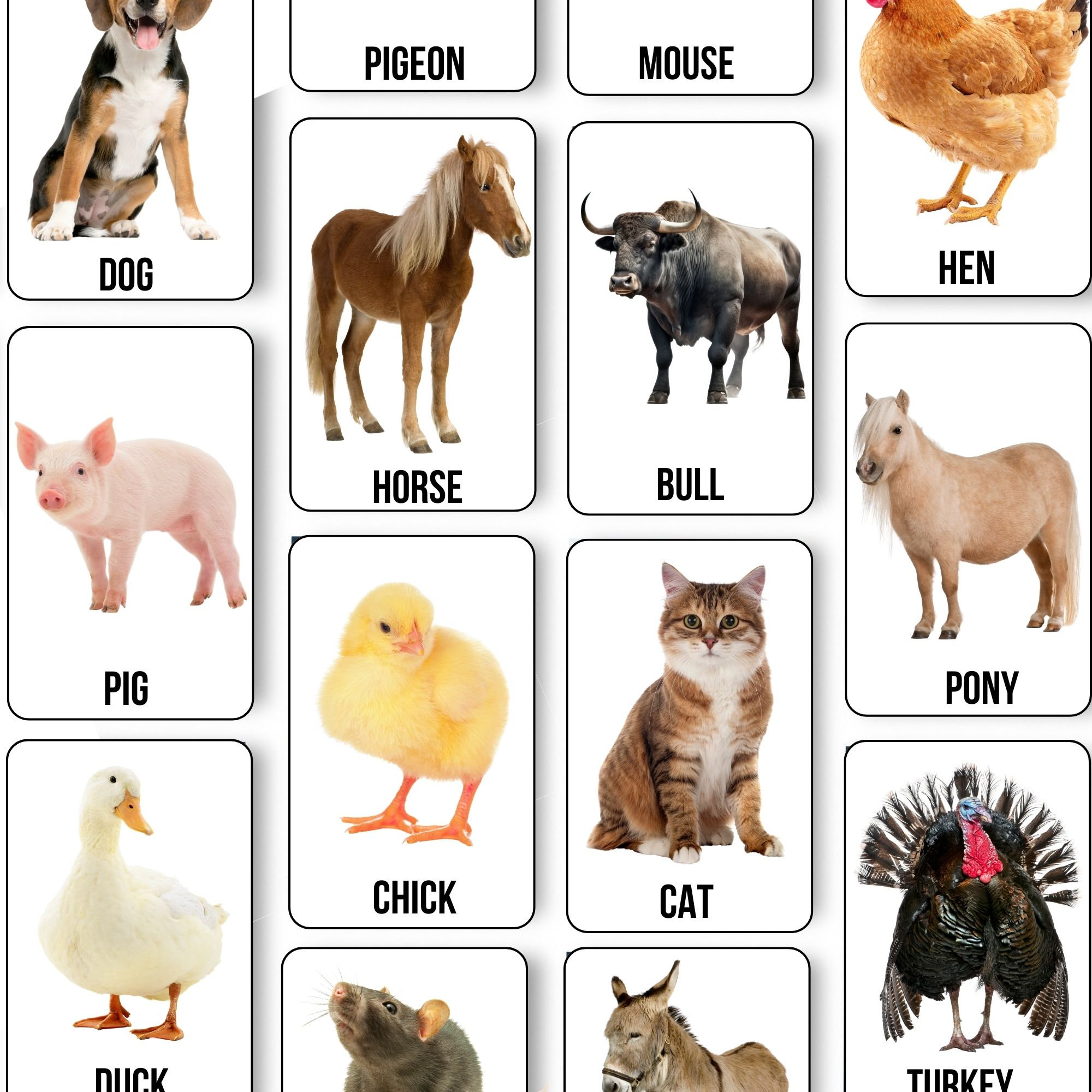 Farm Animal Printable Flashcards Preschool Language Learning Cards for ...