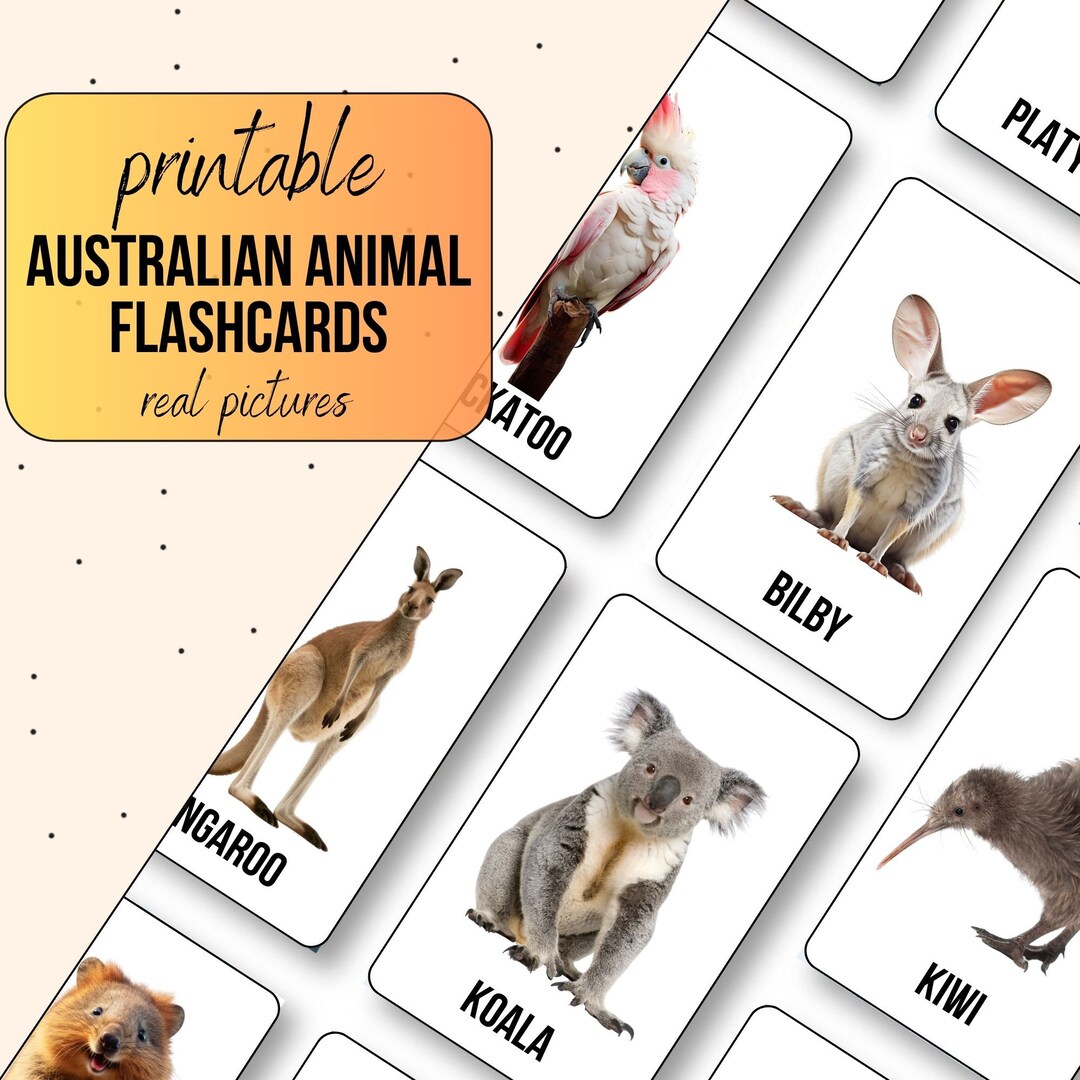 Australian Animal Printable Flashcards Preschool Language Learning ...