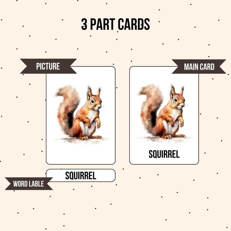 Forest Animal Printable Flashcards Preschool Language Learning Cards ...