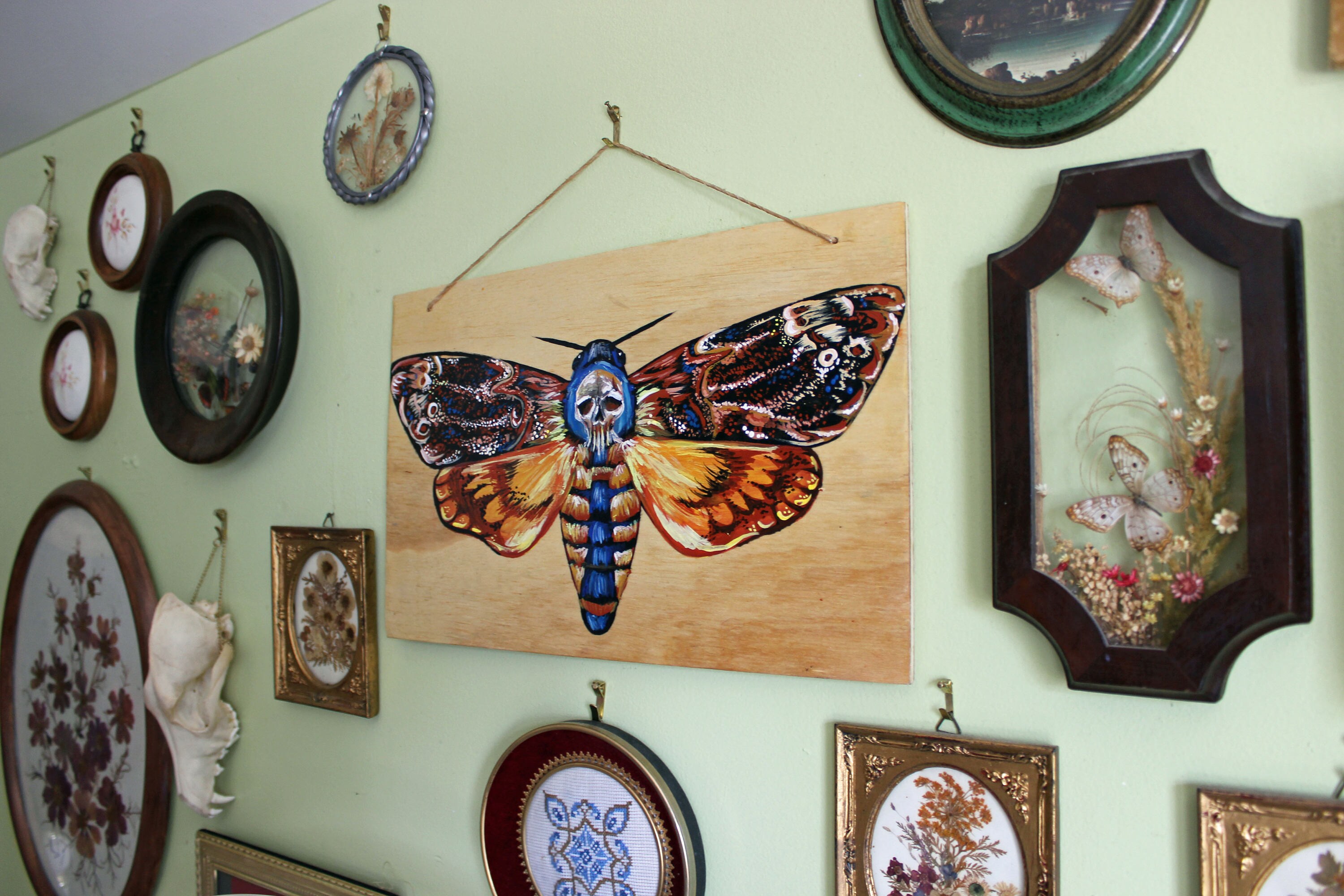 Hand Painted Death's Head Moth on Large Wooden Plaque Original Acrylic ...