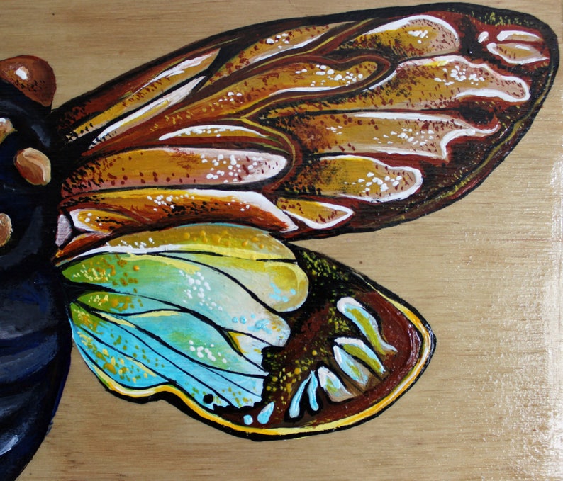 Hand Painted Cicada on Large Wooden Plaque Original Acrylic - Etsy