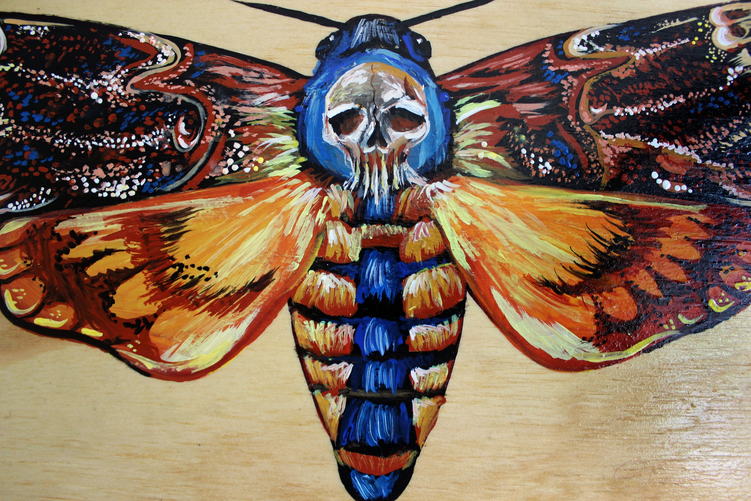 Hand Painted Death's Head Moth on Large Wooden Plaque Original Acrylic ...