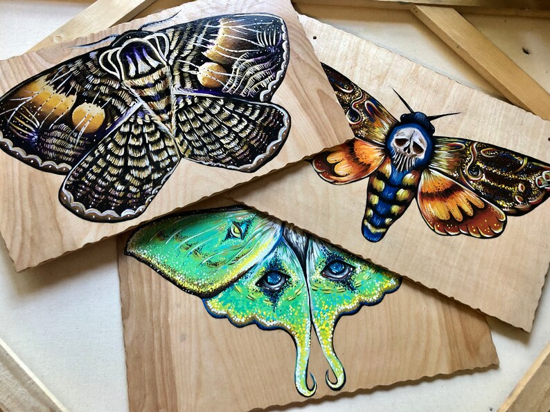 Hand Painted Death's Head Moth on Large Wooden Plaque Original Acrylic ...