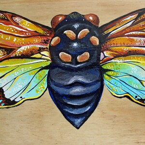 Hand Painted Cicada on Large Wooden Plaque Original Acrylic Colorful ...