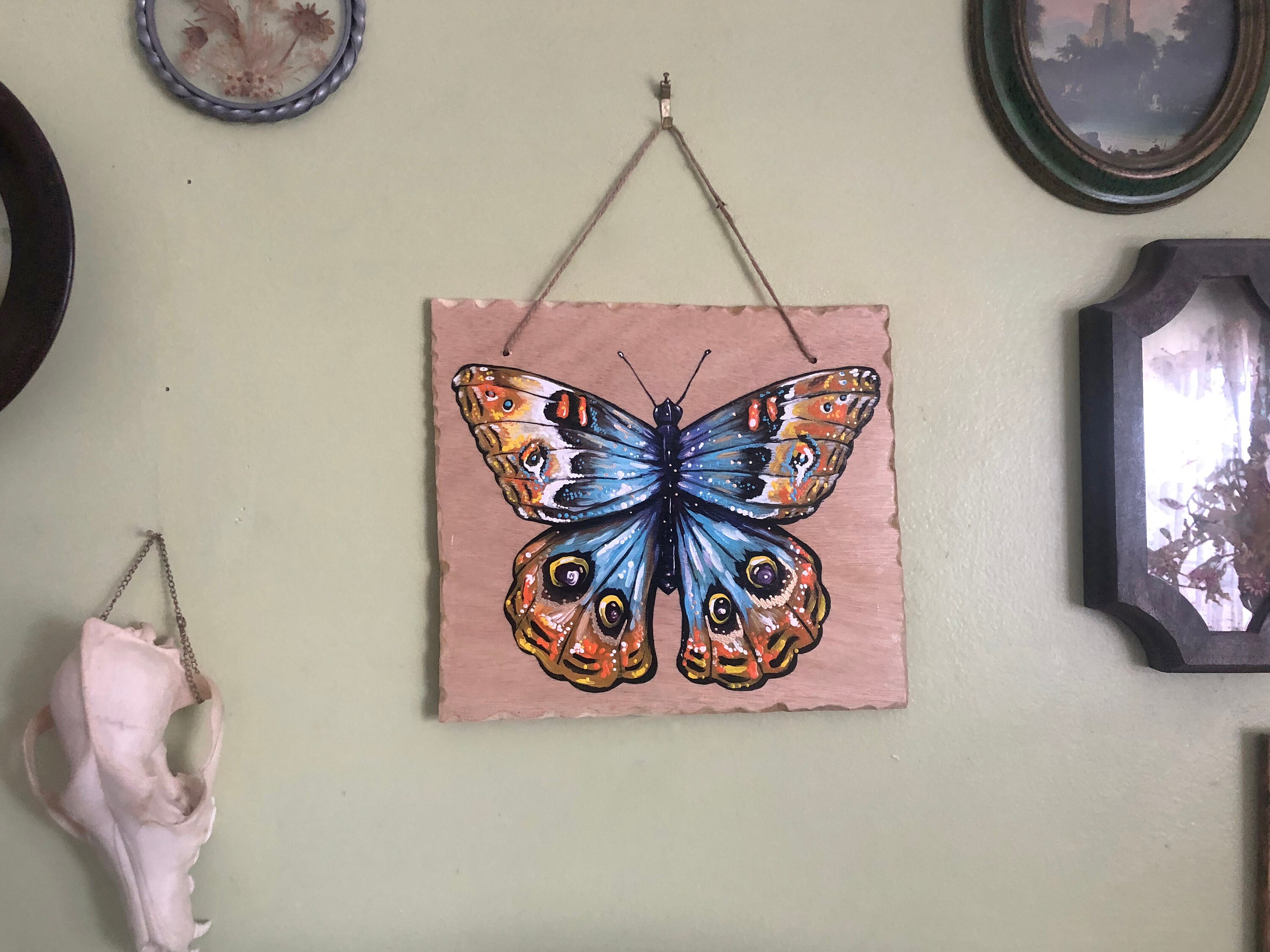 Hand Painted Butterfly Buckeye Butterfly Red Cracker Butterfly Eastern ...