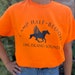 CHB Shirts, Percy Jackson, PJO, Made-to-order - Etsy