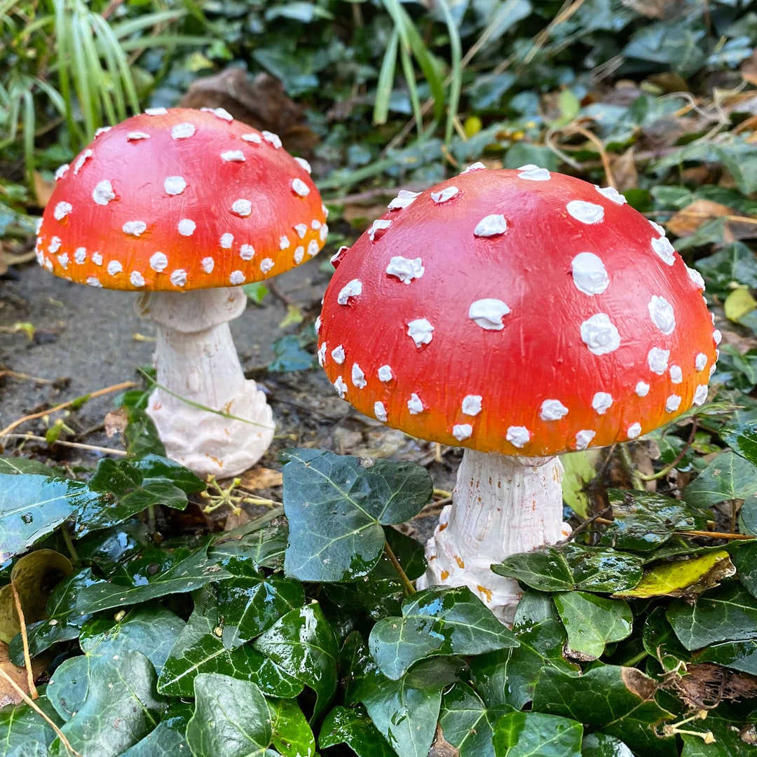 Pair of Mushroom Garden Ornaments - Etsy UK