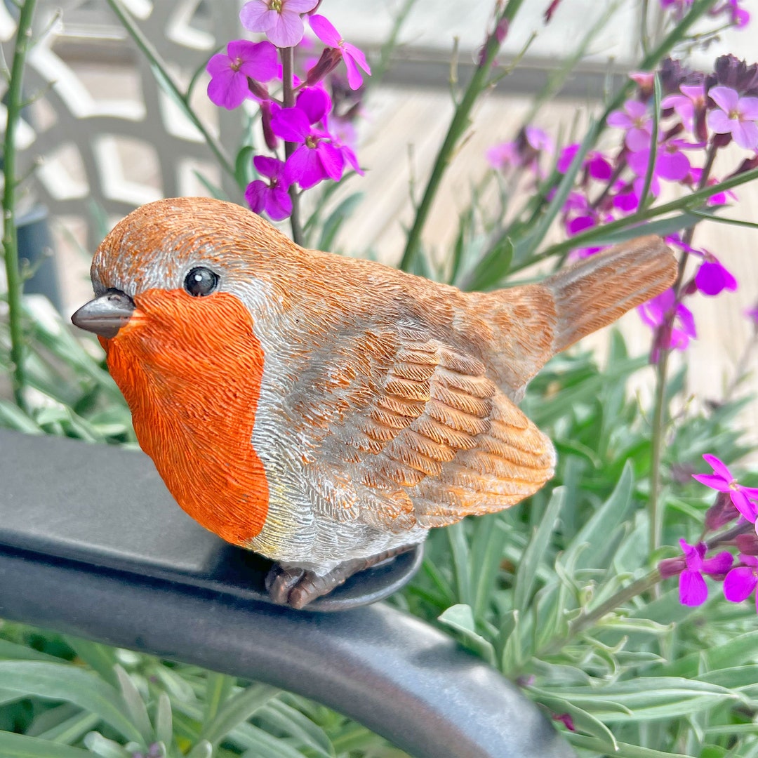 Robin Garden Bird Ornament Outdoor Animal Statue - Etsy UK