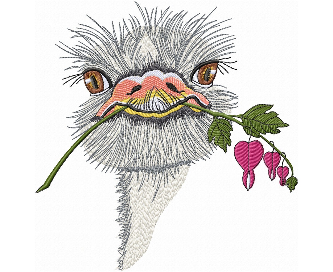 Ostrich Bird Embroidery Design Machine Embroidery, Floral Embroidery ...