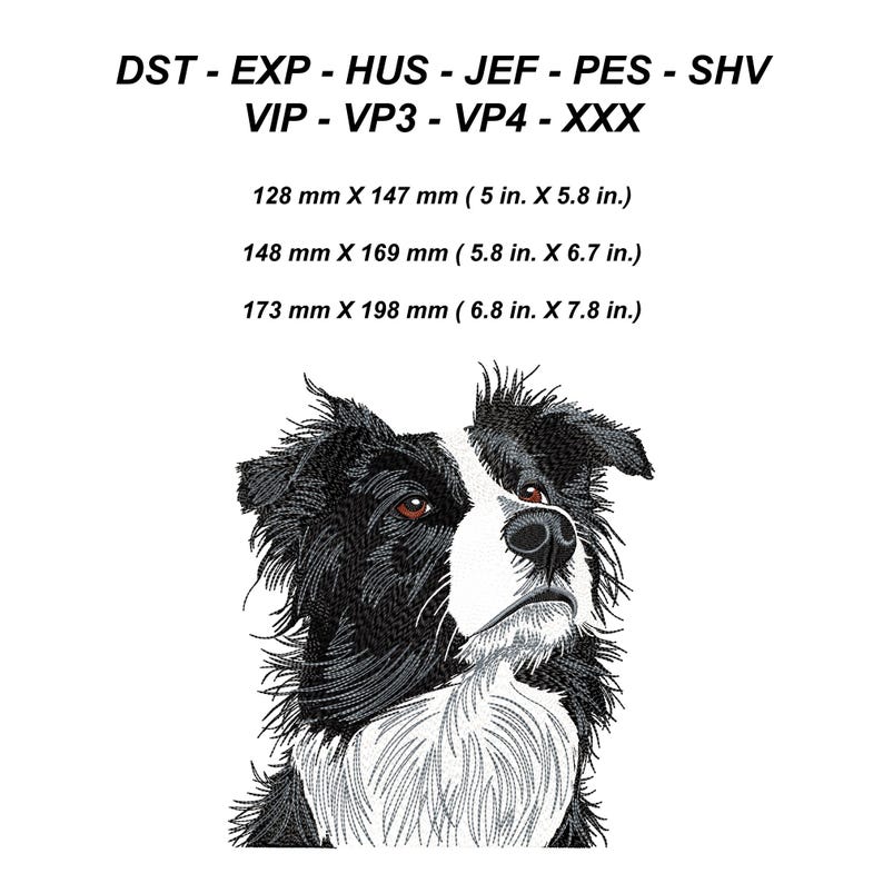Border Collie Embroidery Design, Realistic Sheepdog Machine Embroidery ...