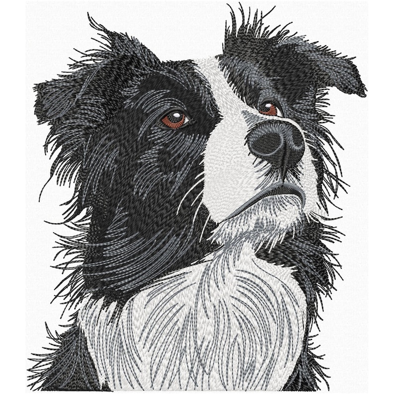 Border Collie Embroidery Design, Realistic Sheepdog Machine Embroidery ...