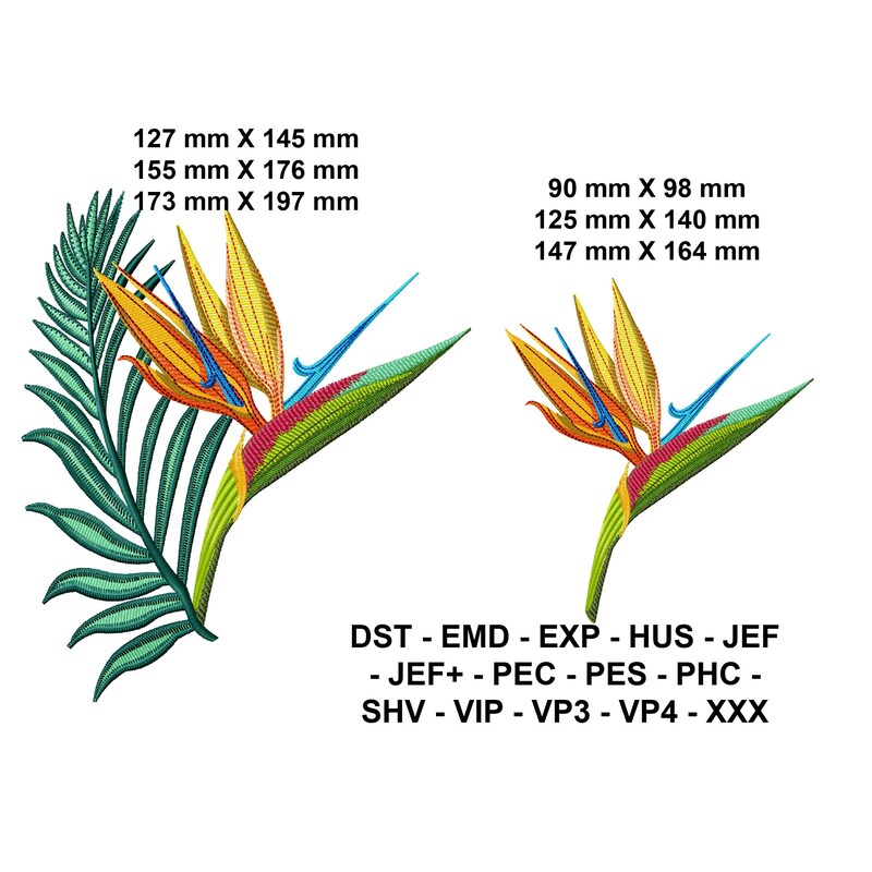 Flower Embroidery Design - Etsy