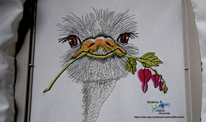 Ostrich Bird Embroidery Design Machine Embroidery, Floral Embroidery ...