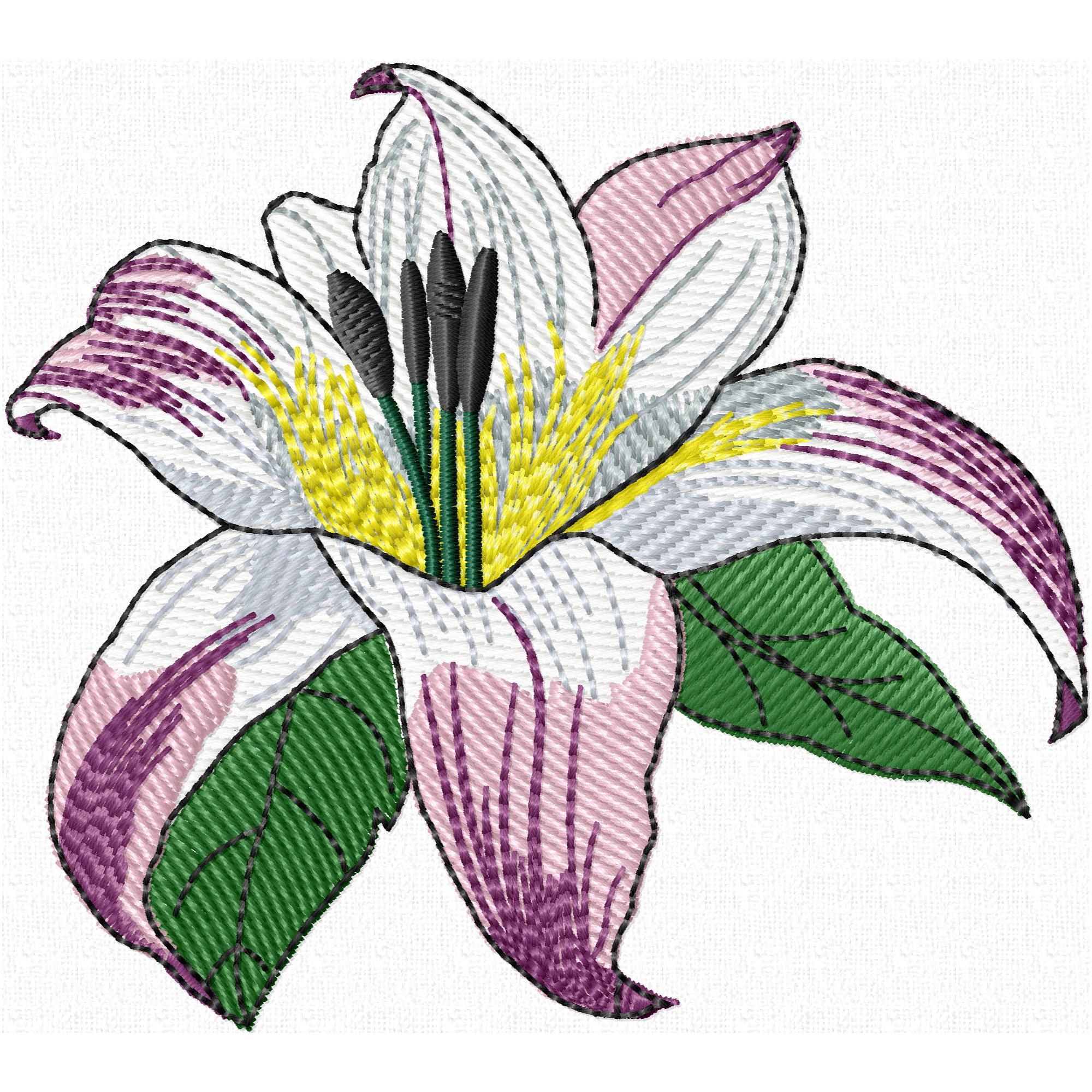 Lily Machine Embroidery Designs Line Art Floral Embroidery Pattern ...