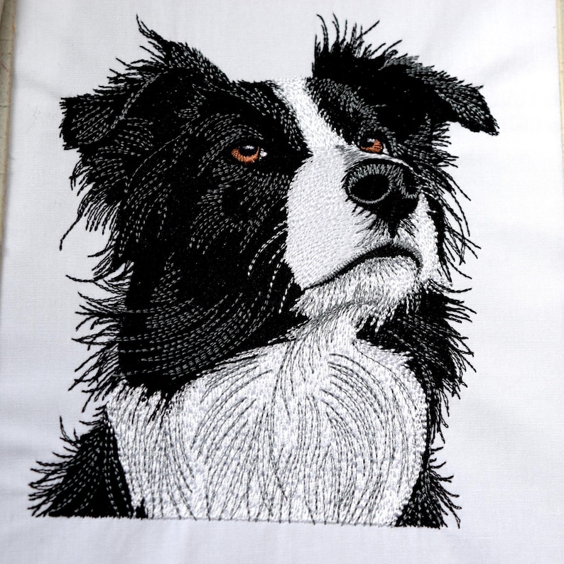 Border Collie Embroidery Design, Realistic Sheepdog Machine Embroidery ...