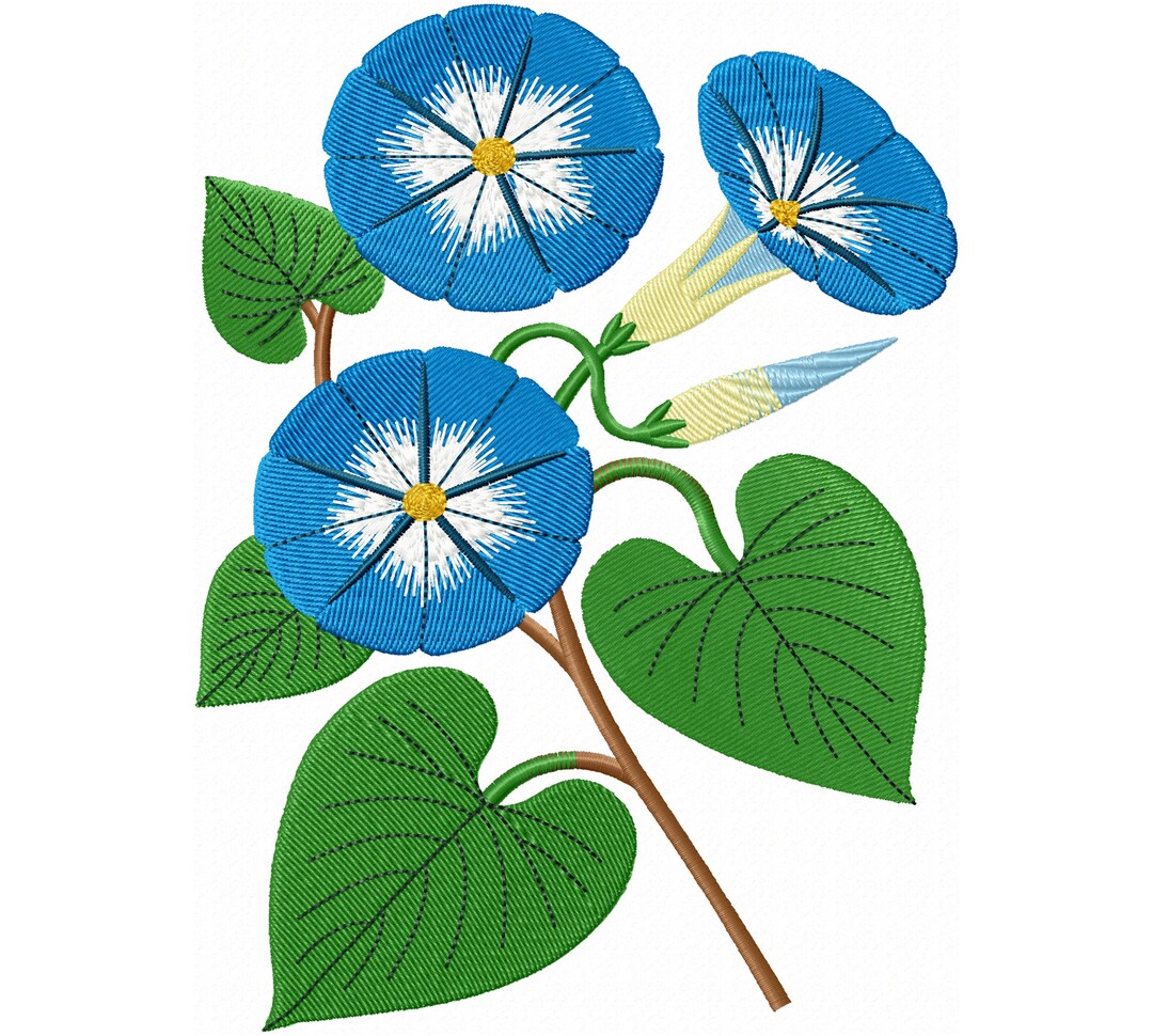 MORNING GLORY Machine Embroidery Design Garden Flower Embroidery File ...