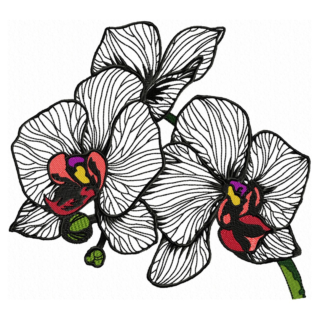 Flower Embroidery Design ORCHID Machine Embroidery Designs, Exotic ...