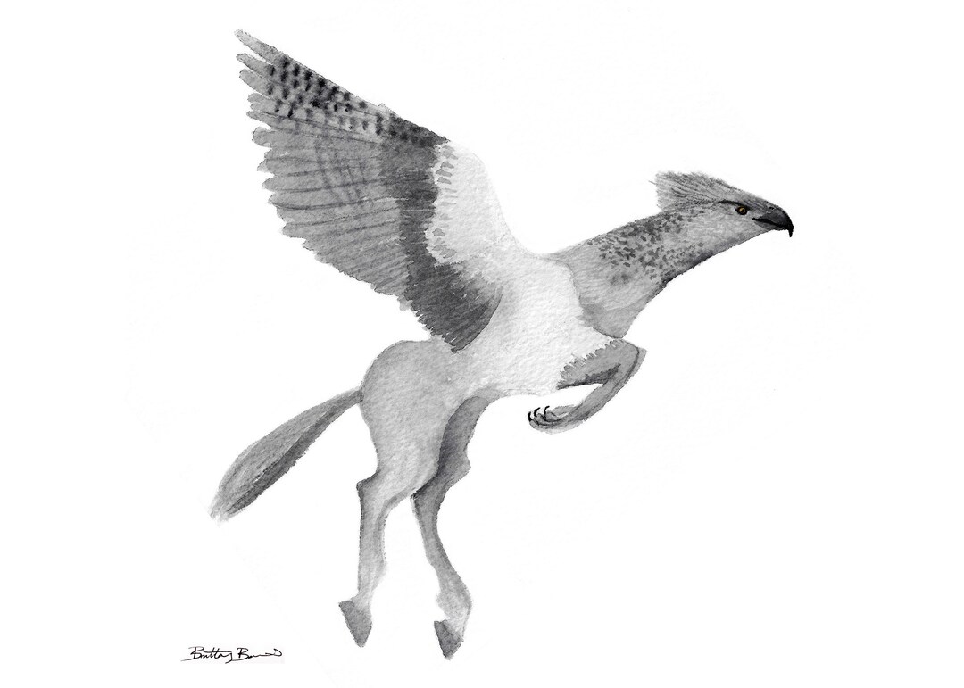 Hippogryph Print - Instant Download - Etsy