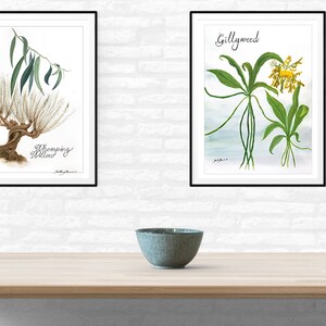 Gillyweed Print - Instant Download - Etsy