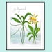 Gillyweed Print Instant Download - Etsy