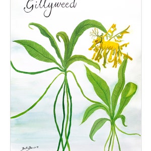 Gillyweed Print - Instant Download - Etsy