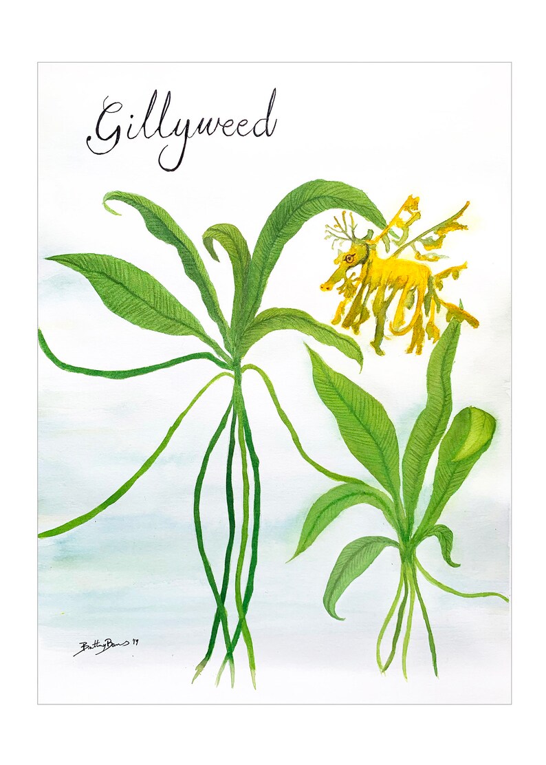 Gillyweed Print Instant Download | Etsy